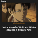 20+ Levi Ackerman Facts You Definitely Want To Know
